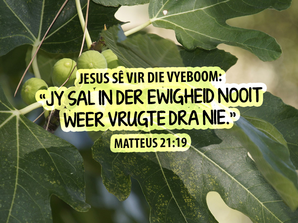 Dit was dan nie vyetyd nie! - Kruispad e-tydskrif