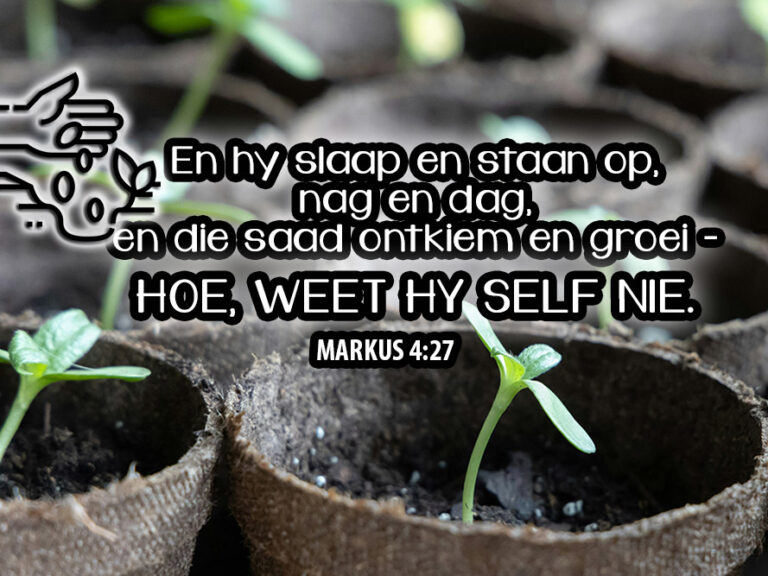 Saai die saad, God sal dit laat groei - Kruispad e-tydskrif